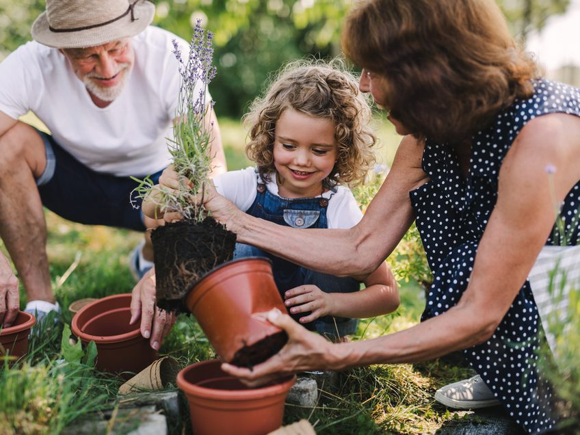 Secure Guaranteed Retirement Account | SafeMoney.com